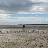 Wellington Point to King Island Sand Bar Walk, Queensland, Australia ...