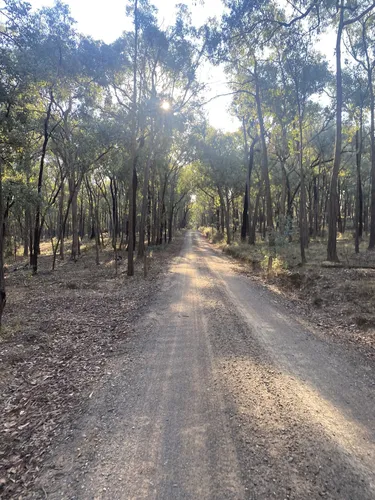 10 Best Hikes and Trails in Chiltern-Mt Pilot National Park | AllTrails