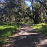 Bibra Lake Loop, Western Australia, Australia - 362 Reviews, Map ...