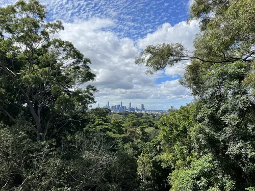 Best 10 Hikes and Trails in Mount Coot-tha Reserve | AllTrails