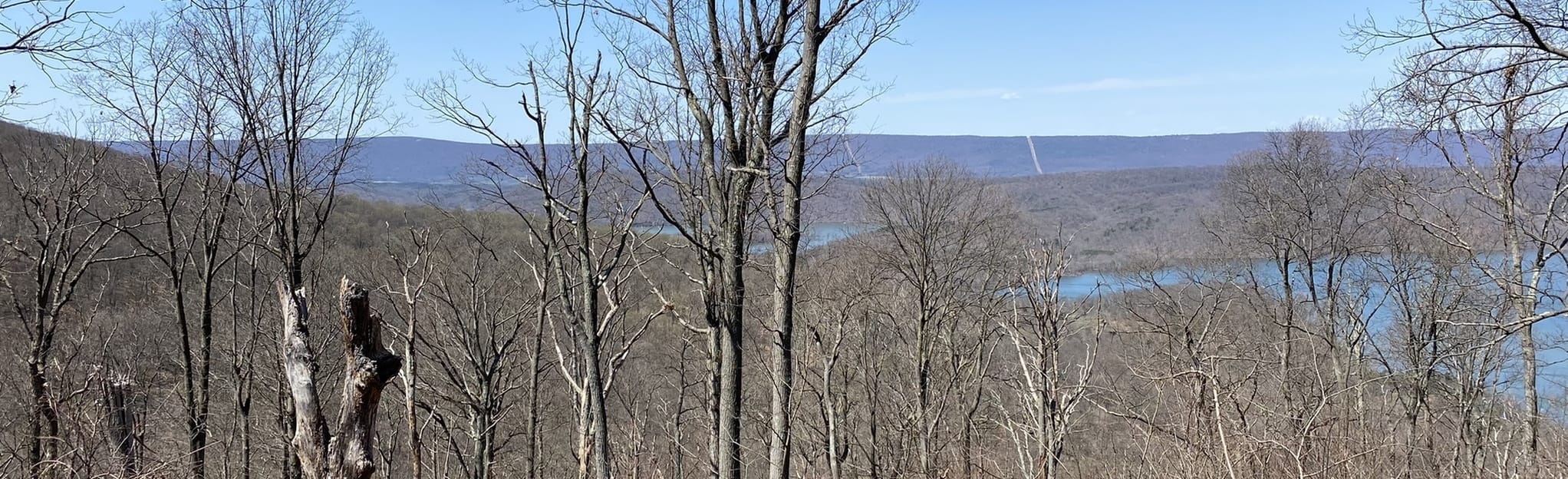 Trough Creek Terrace Mountain Trail: 34 foto's - Pennsylvania | AllTrails