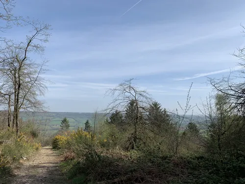 10 Best Forest Trails in Blackdown Hills National Landscape (AONB ...