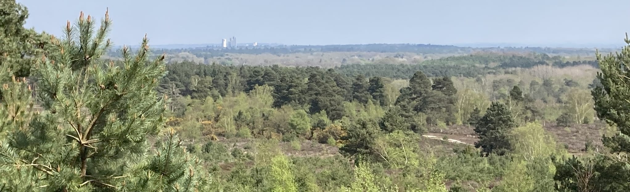 Pirbright Training Ground Circular: 117 foto's - Surrey, Engeland ...