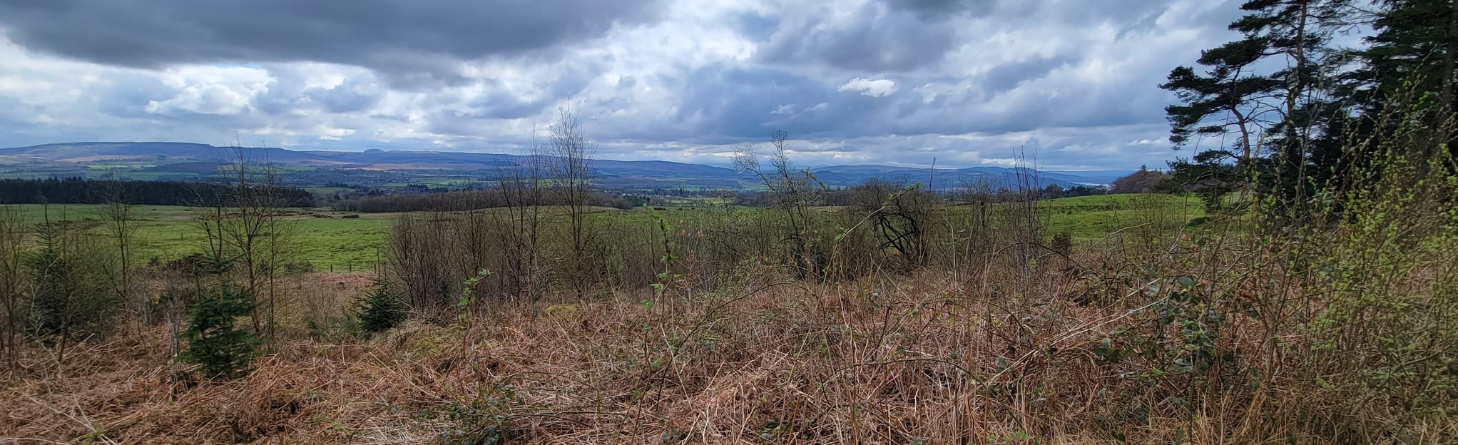 The West Highland Way: 442 Reviews, Map - West Dunbartonshire, Scotland ...