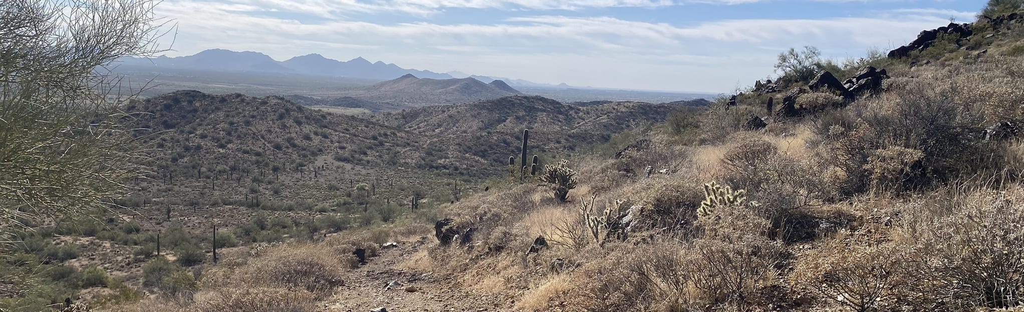 Union Peak Loop, Arizona - 401 Reviews, Map | AllTrails