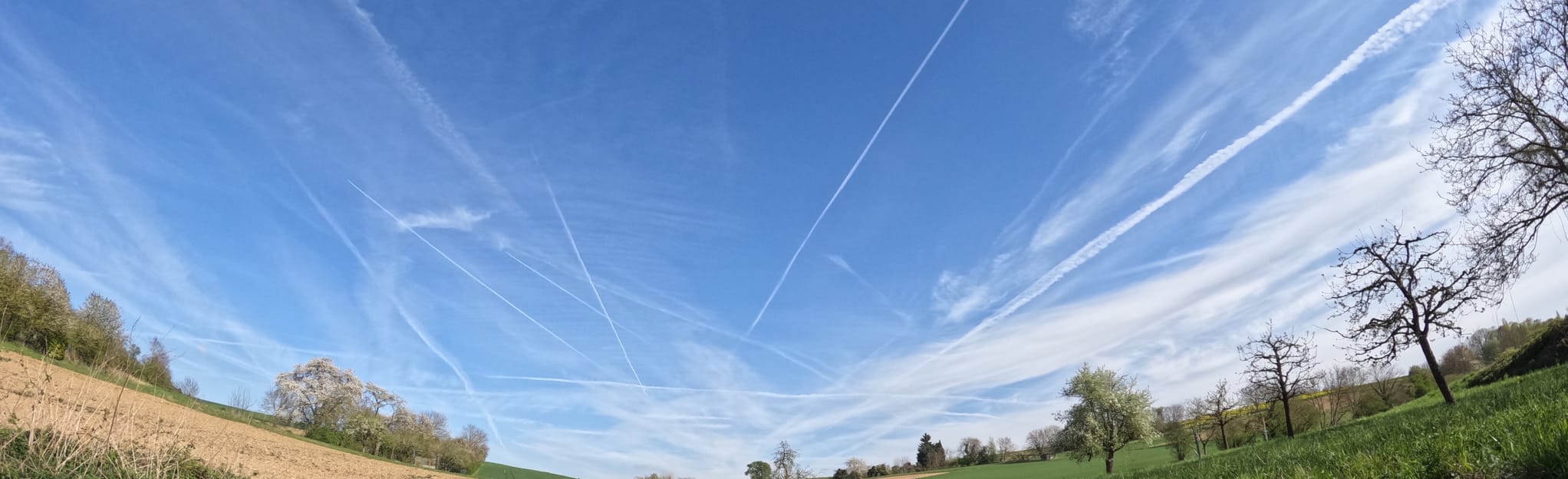 Rund um Weingarten, Baden-Württemberg, Germany - Map, Guide | AllTrails