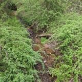 Arc Corner Monument Loop, Delaware - 189 Reviews, Map | AllTrails