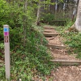 Arc Corner Monument Loop, Delaware - 130 Reviews, Map | AllTrails