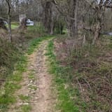 Arc Corner Monument Loop, Delaware - 189 Reviews, Map | AllTrails