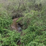 Arc Corner Monument Loop, Delaware - 189 Reviews, Map | AllTrails