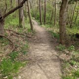 Arc Corner Monument Loop, Delaware - 189 Reviews, Map | AllTrails