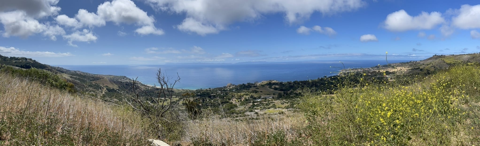 Burma Road, Rim Trail, Donor One, Grapevine, and Ishibashi Loop: 270 Reviews, Map - California ...