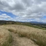 Autumn Ridge Trail, California - 380 Reviews, Map | AllTrails