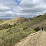 Autumn Ridge Trail, California - 380 Reviews, Map | AllTrails
