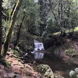 Lake Lagunitas, California - 534 Reviews, Map | AllTrails