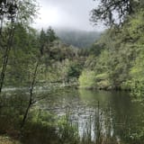 Lake Lagunitas, California - 534 Reviews, Map | AllTrails