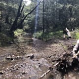 Lake Lagunitas, California - 534 Reviews, Map | AllTrails