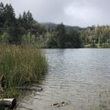 Lake Lagunitas, California - 534 Reviews, Map | AllTrails