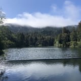 Lake Lagunitas, California - 534 Reviews, Map | AllTrails