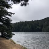Lake Lagunitas, California - 534 Reviews, Map | AllTrails