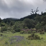 Lake Lagunitas, California - 534 Reviews, Map | AllTrails