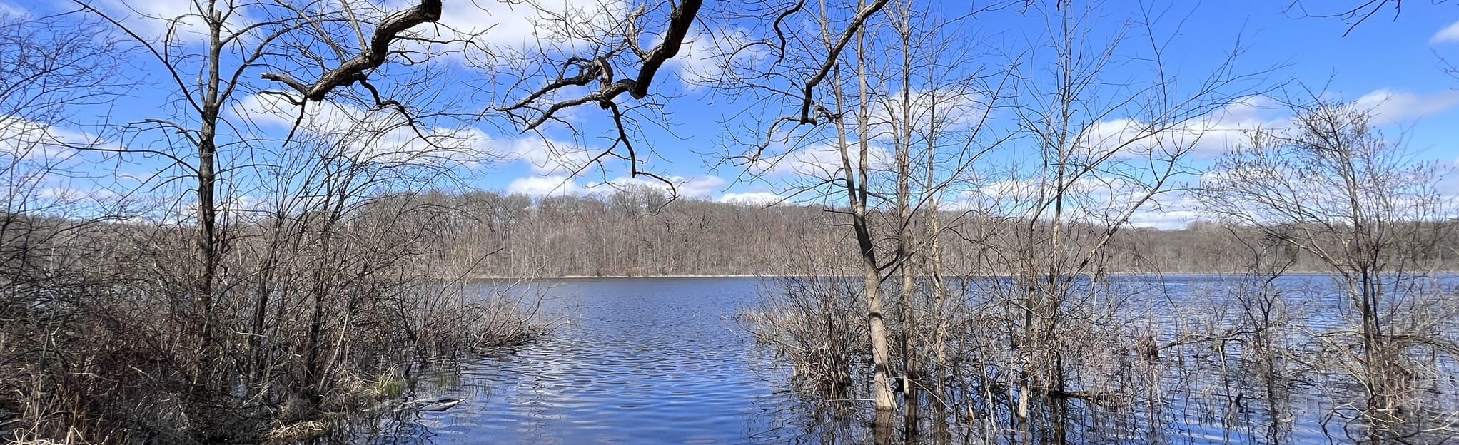 Gosling Lake Trail Loop | Map, Guide - Michigan | AllTrails