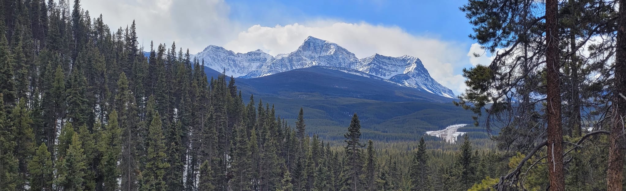 Silverton Falls: 958 Reviews, Map - Alberta, Canada | AllTrails