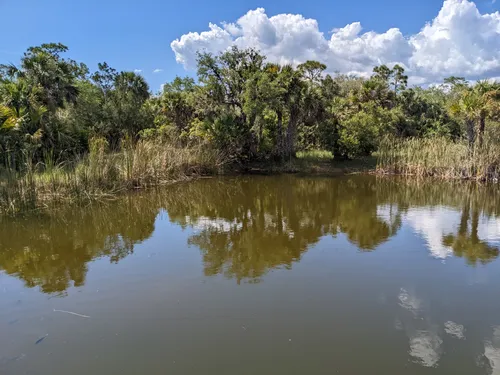 Best Hikes and Trails in Charlotte Harbor Preserve State Park | AllTrails