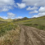 Autumn Ridge Trail, California - 390 Reviews, Map | AllTrails