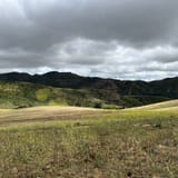 Autumn Ridge Trail, California - 390 Reviews, Map | AllTrails
