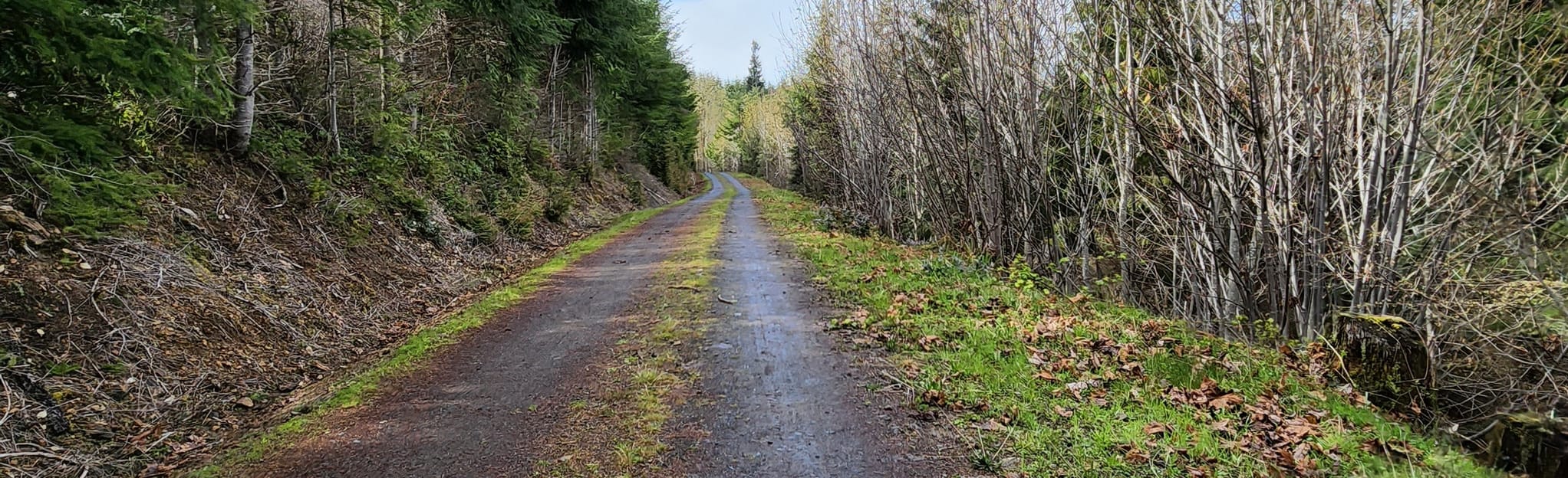 Mount Madron | Map, Guide - Washington | AllTrails