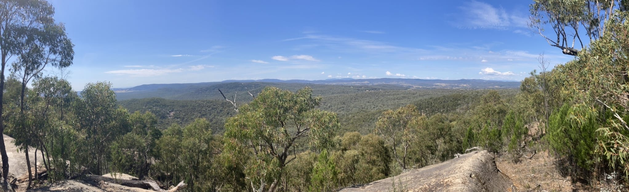 Mount Pilot, Yeddonba Bailai, and Green Break Tracks, Victoria ...