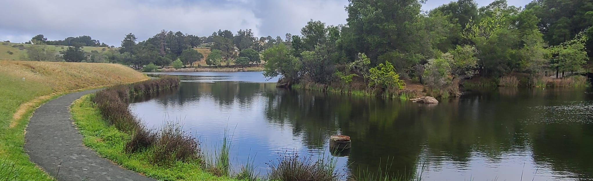 Chamise, Toyon, and Fern Loop: 371 Reviews, Map - California | AllTrails