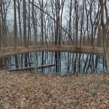 Nebo Ridge Trail, Indiana - 196 Reviews, Map | AllTrails