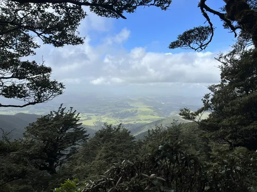 10 Best Hikes and Trails in Ruahine Forest Park | AllTrails