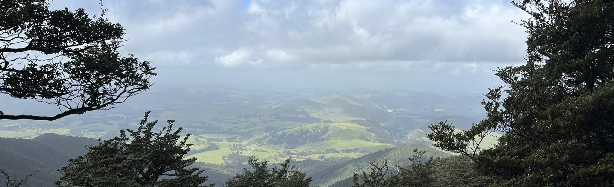 Ruahine Crossing: North Block Road to Maropea Forks Hut, Hawke's Bay ...