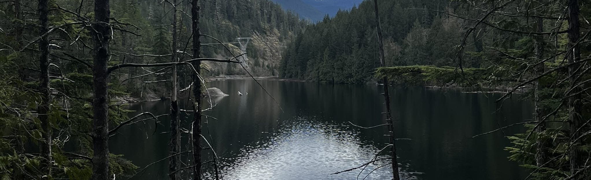 Brohm Lake Interpretive Forest: 419 Reviews, Map - British Columbia ...