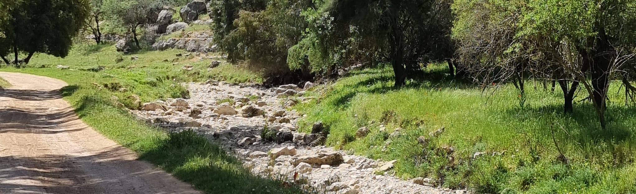 Sataf, Refaim and Aminadav Forest Circuit | Map, Guide - Jerusalem ...