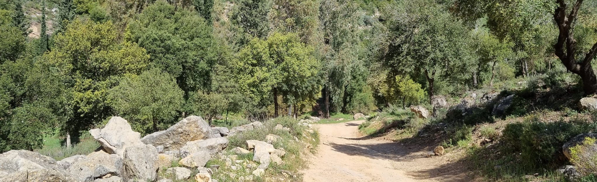 Nahal Katlav, Nahal Refa'im and Ein Yoel, Jerusalem, Israel - 3 Reviews ...