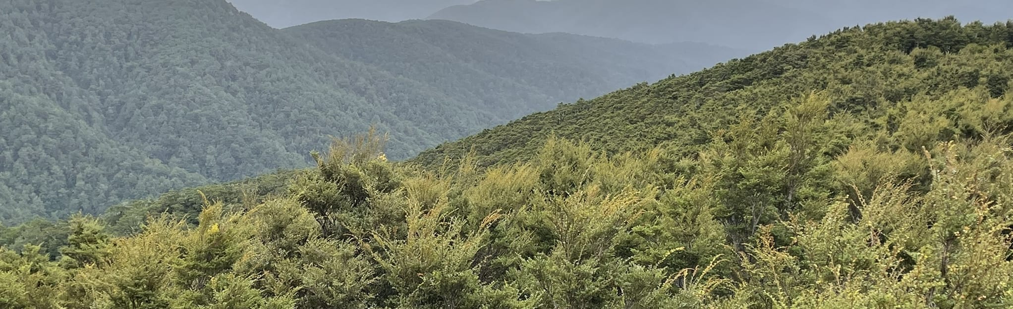 Blue Range Hut from Kiriwhakapapa Rd: 26 foto's - Wellington, Nieuw ...