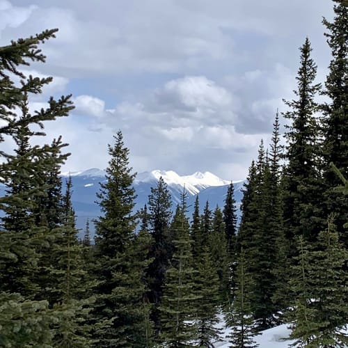 2023 Best Trails near Mount Murray | AllTrails