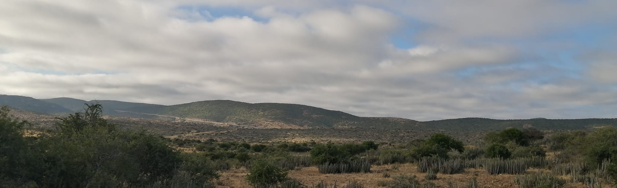 Jansen Trail Run: 1 Reviews, Map - Eastern Cape, South Africa | AllTrails