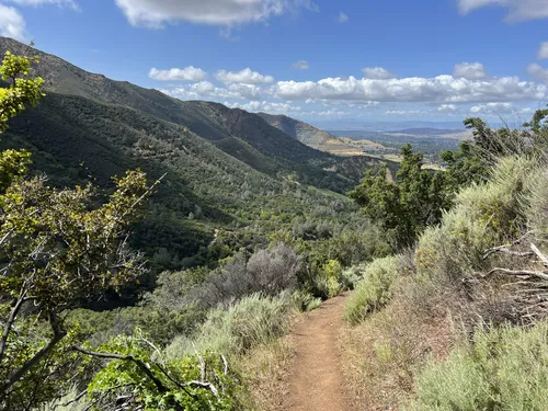10 Best Waterfall Trails in Mount Diablo State Park | AllTrails