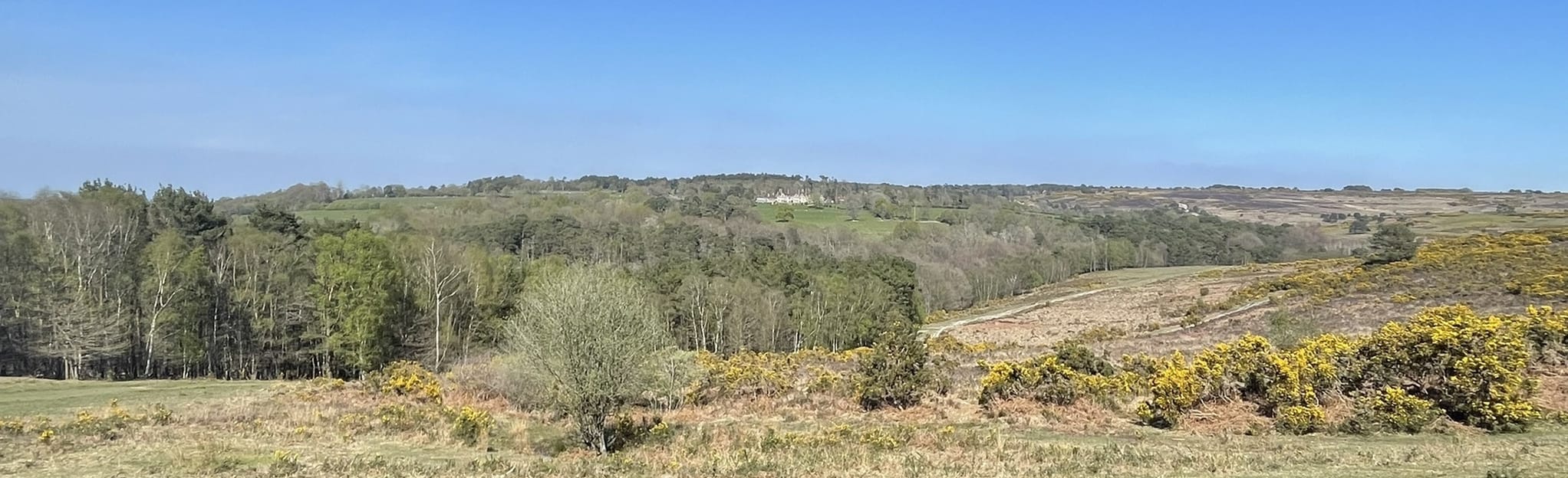 Millbrook Circular, East Sussex, England - 38 Reviews, Map | AllTrails