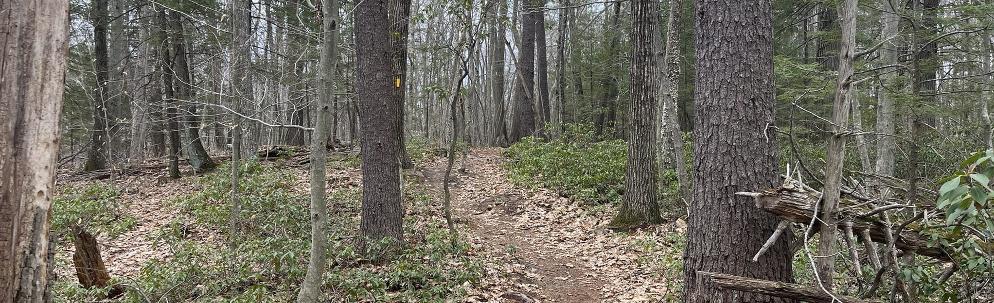 Cricket Crossing and Lorden Path Trail Loop: 17 Reviews, Map - New ...