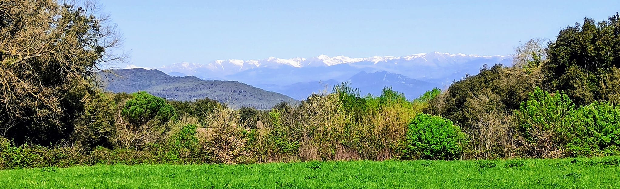 Itinerari Mitjà - Serinyà - Girona, Spain | AllTrails