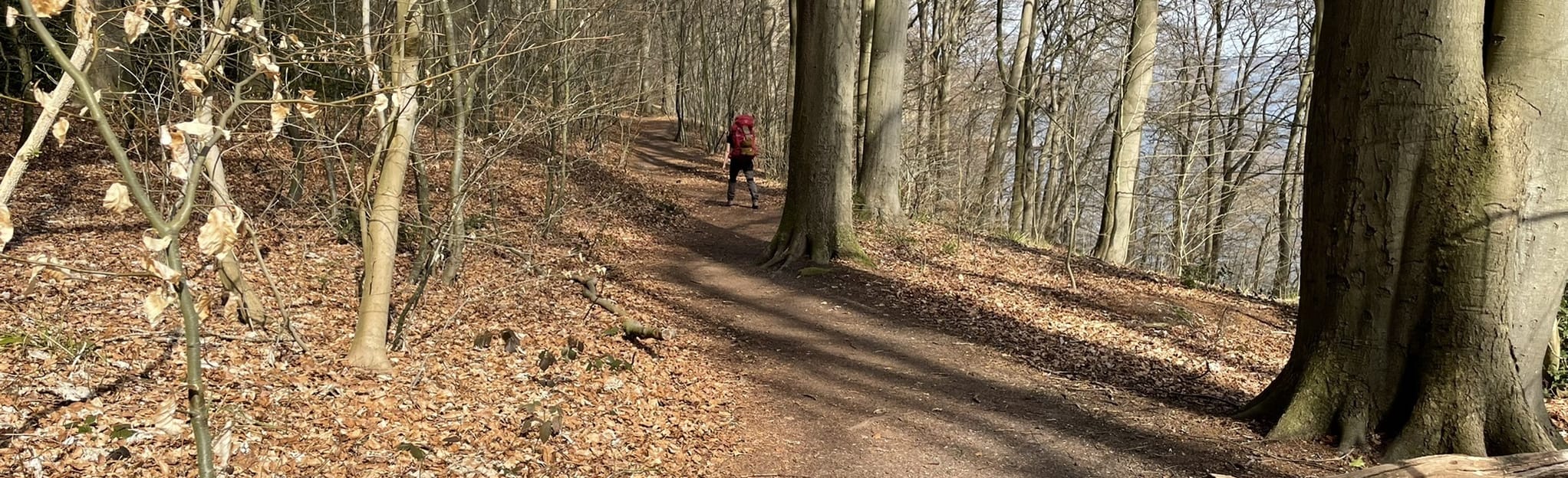 Kollund Skov - Blå Rute | Map, Guide - Region of Southern Denmark ...