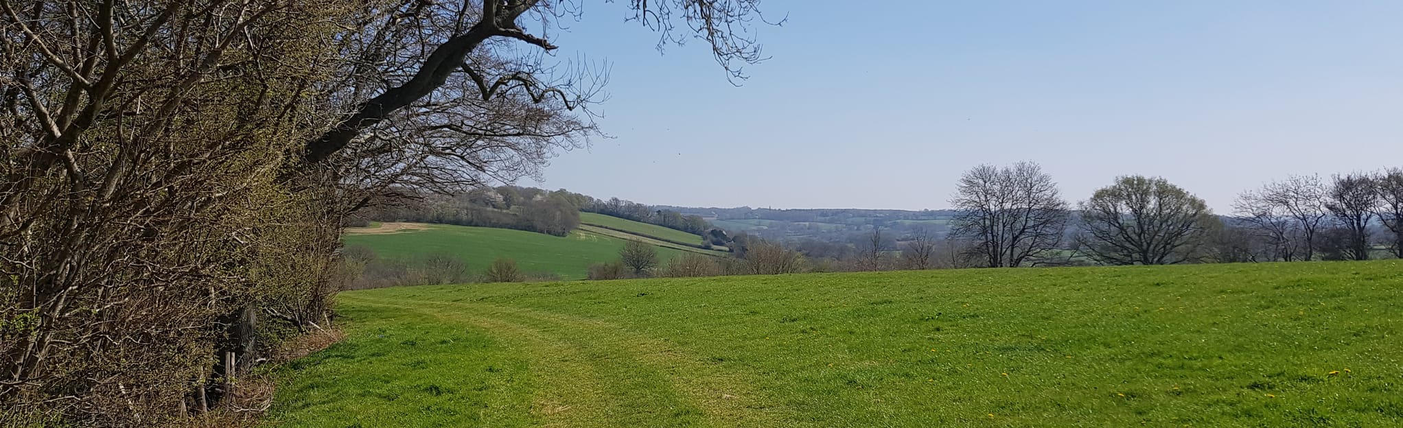 Cowden and Markbeech Circular, Kent, England - 16 Reviews, Map | AllTrails