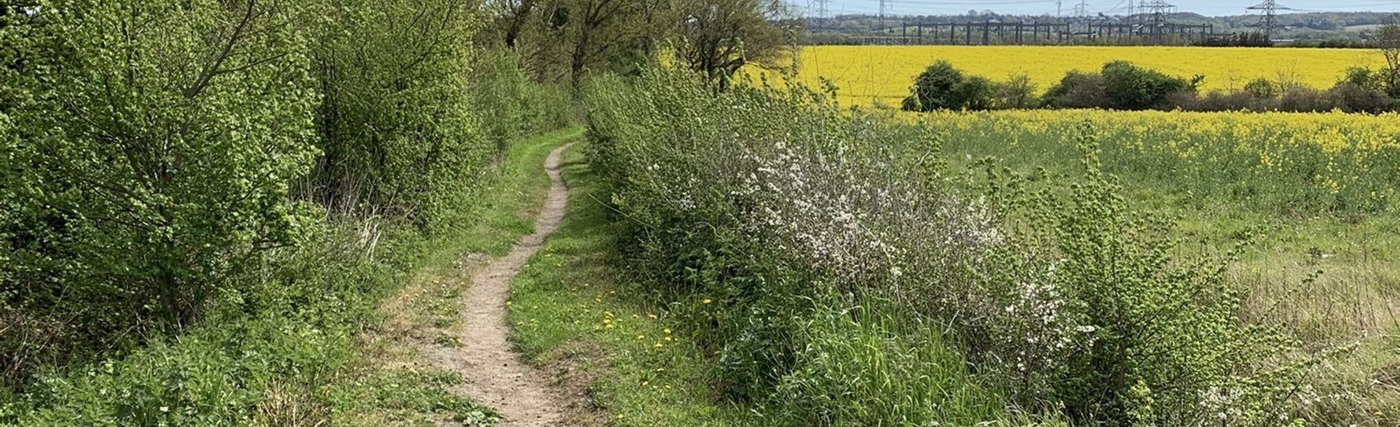 Wick Country Park Circular - Essex, England | AllTrails