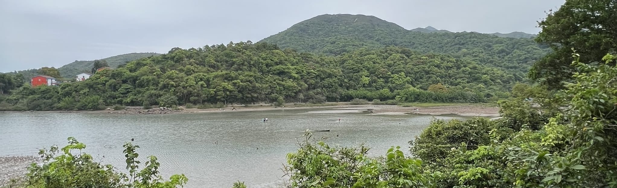 Sharp Peak and Tai Wan Beach Loop Hike from Pak Tam Au: 129 Reviews ...